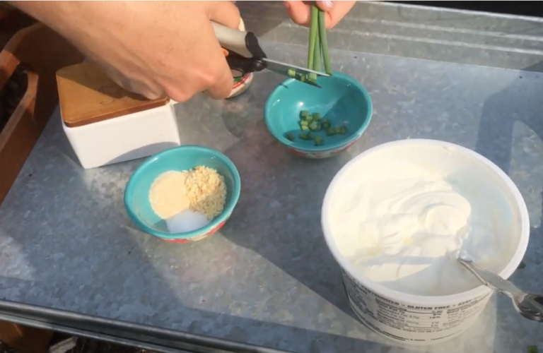 3 Things to do with Chives and Chive Blossoms–Chive and Onion Dip ...