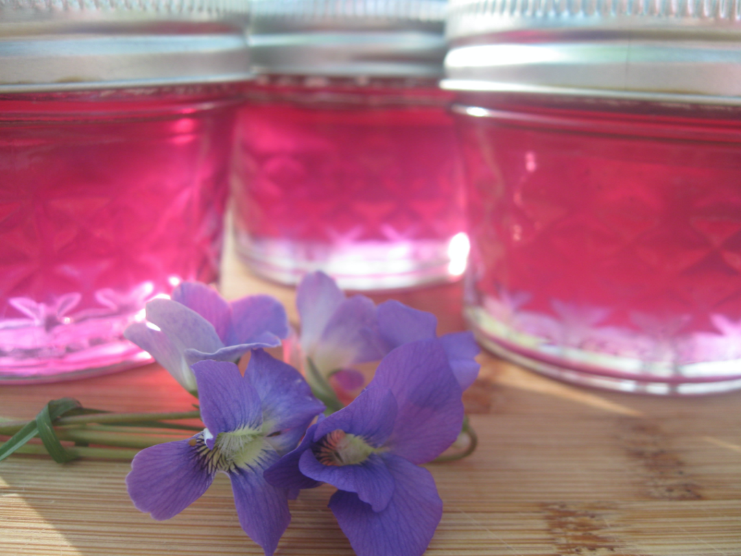Wild Violet Jelly Recipe – wanderingstarfarmhouse.com