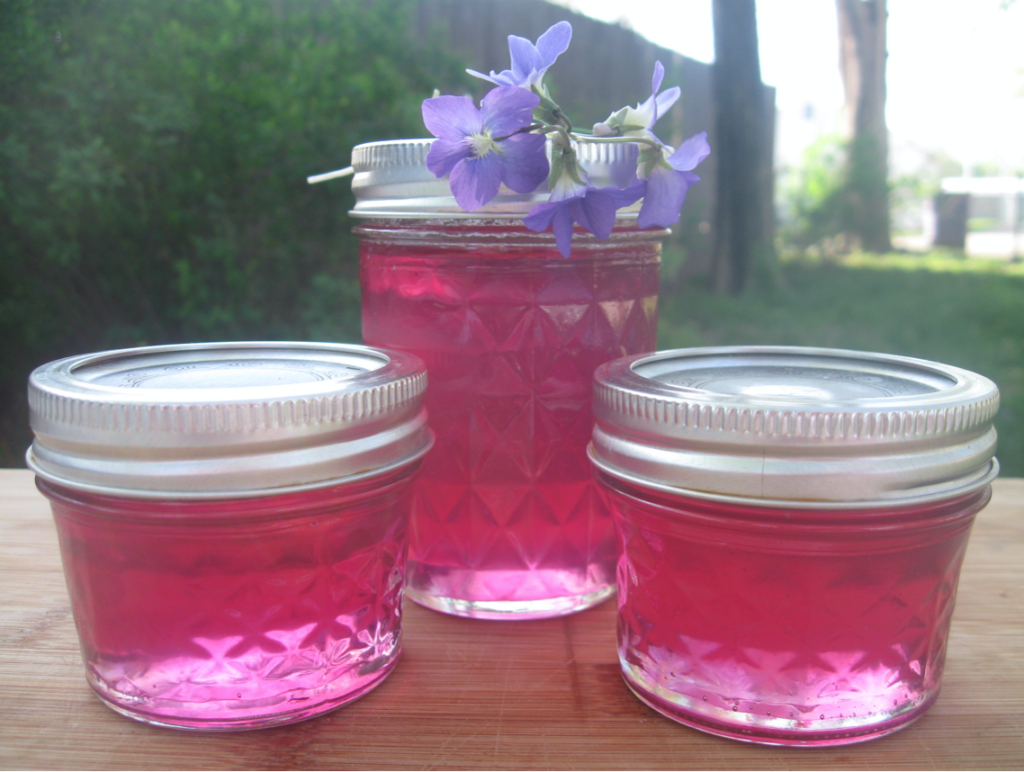 Wild Violet Jelly Recipe – wanderingstarfarmhouse.com